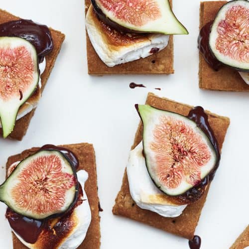 Homemade S'mores in the Oven with California Figs - Patricia Bannan, MS ...