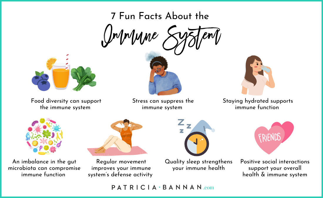7 Fun Facts About the Immune System + Micro Habits to Support Immunity ...