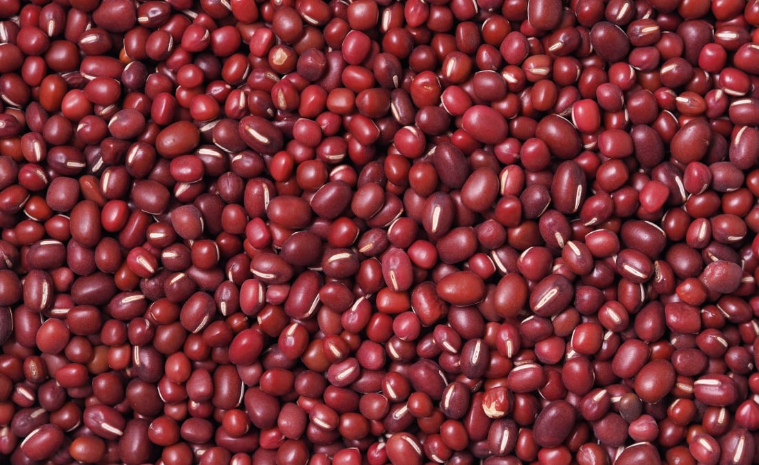 Are Beans Healthy? 10 of the Healthiest Beans to Eat - Patricia Bannan ...