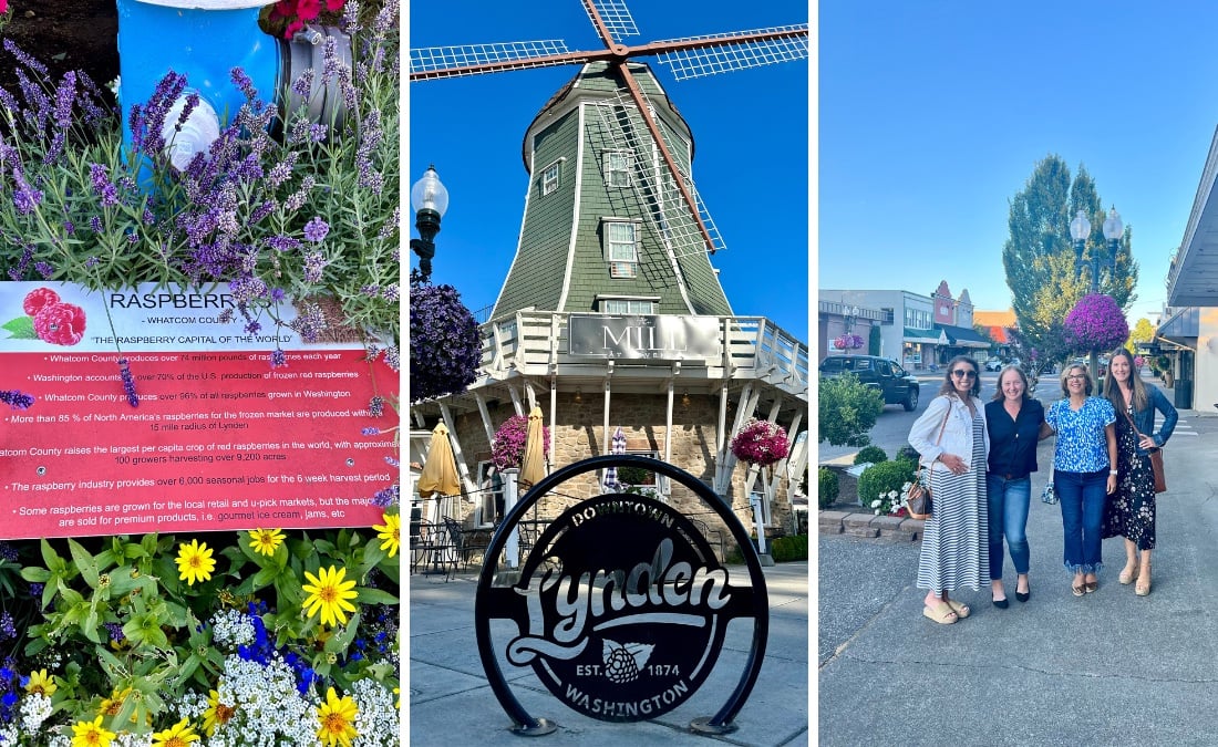 Are Frozen Raspberries as Good as Fresh Raspberries? - Patricia Bannan ...